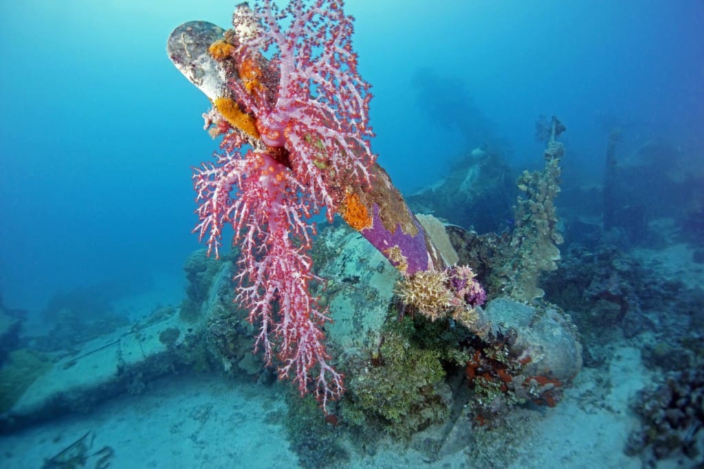 Emily Flying Boat | SS Thorfinn